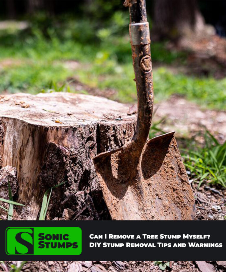 Can I Remove A Tree Stump Myself? DIY Stump Removal Tips And Warnings ...